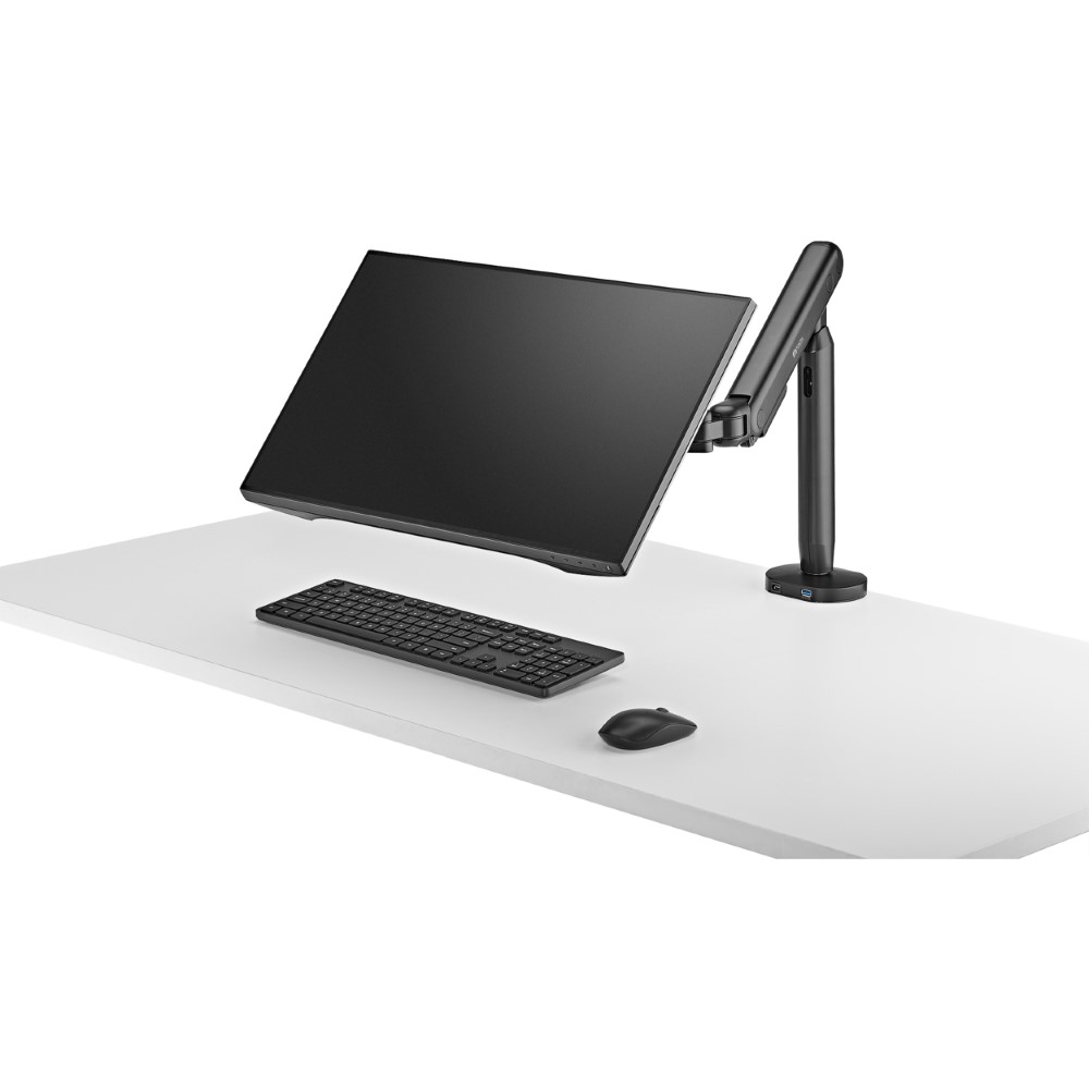 Raymii LS65-M1 三節式螢幕支架 - PChome 24h購物