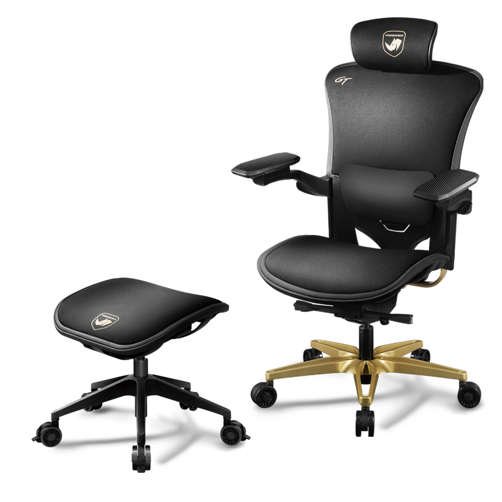 MARSRHINO 火星犀牛 INFINITE GT 人體工學電競椅 + LANDER活動凳(INFINITE GT 金) - PChome ...