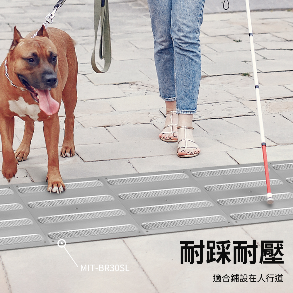 185-BR30SL 防滑警示人行道指路不鏽鋼條狀 - PChome 24h購物