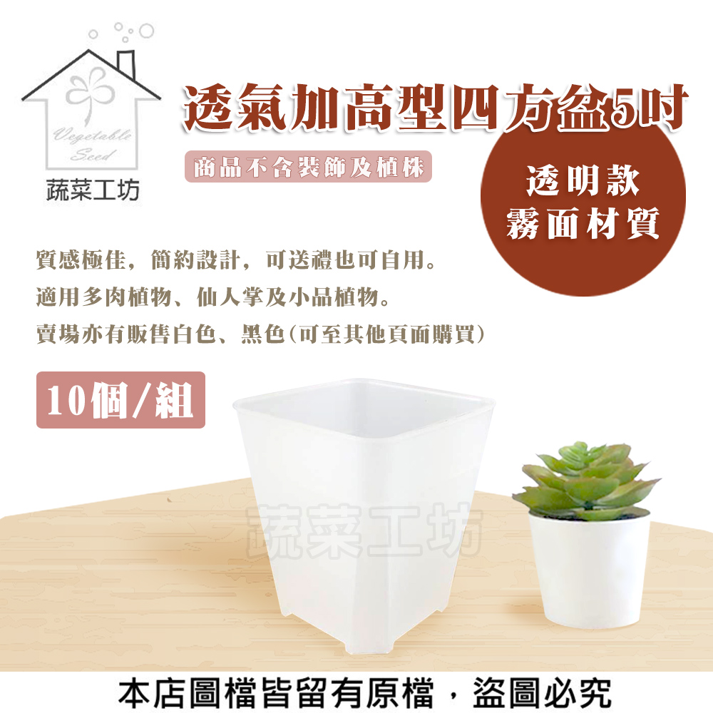 【蔬菜工坊】透氣加高型四方盆5吋 10個/組 (透明) - PChome 24h購物