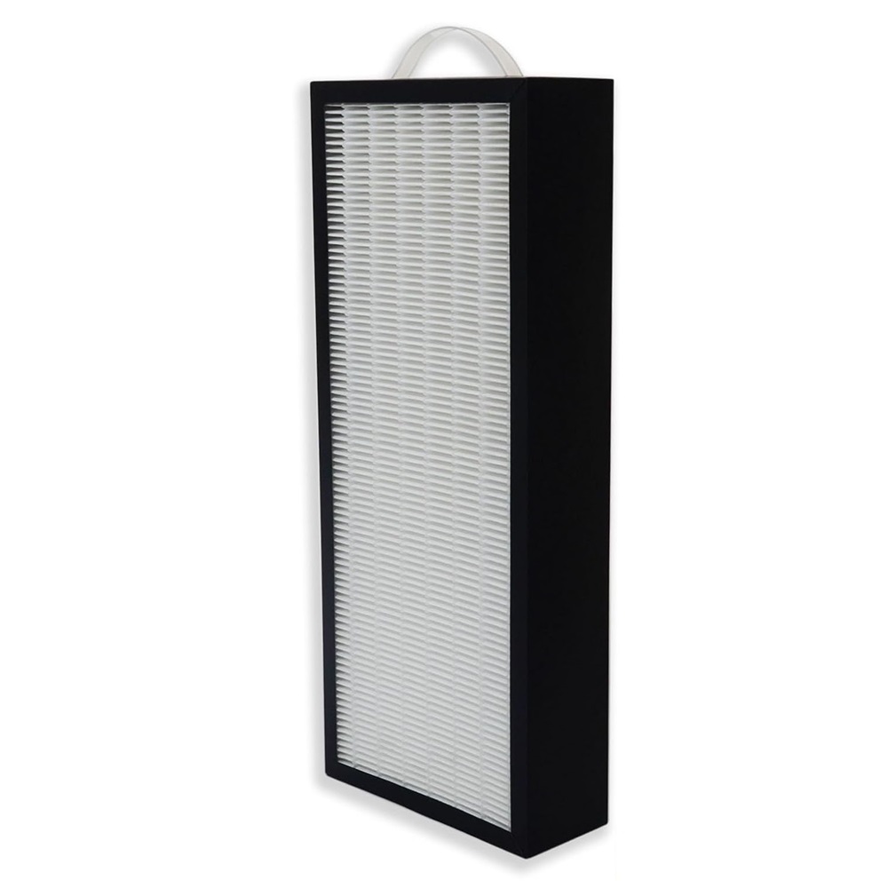 適用Luftrum 瑞際BC400電漿除菌智能空氣清淨機替換用2合1活性碳 + HEPA高效濾網濾芯 - PChome 24h購物