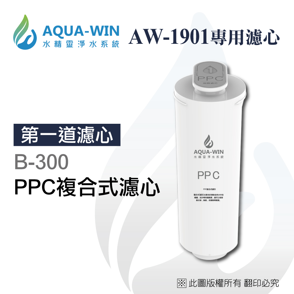 【AQUA-WIN 水精靈】AW-1901拋棄型PPC複合式濾心(B-300) - PChome 24h購物