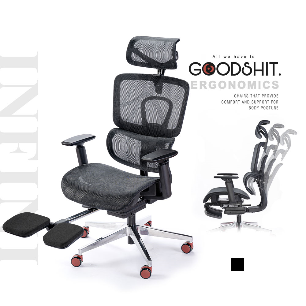 GOODSHIT.-Infini英菲尼人體工學椅/電腦椅/工作椅/辦公椅-全網款 - PChome 24h購物